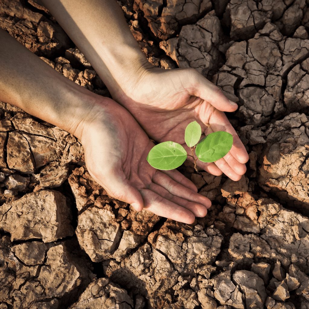 Impaduriri cu ACN Goes Green - ACN Goes Green